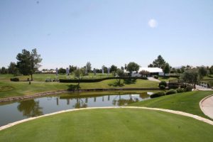 Gallery – Chandler Compadres